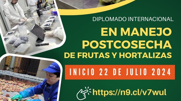Diplomado Internacional en Manejo Postcosecha de Frutas y Hortalizas 2024